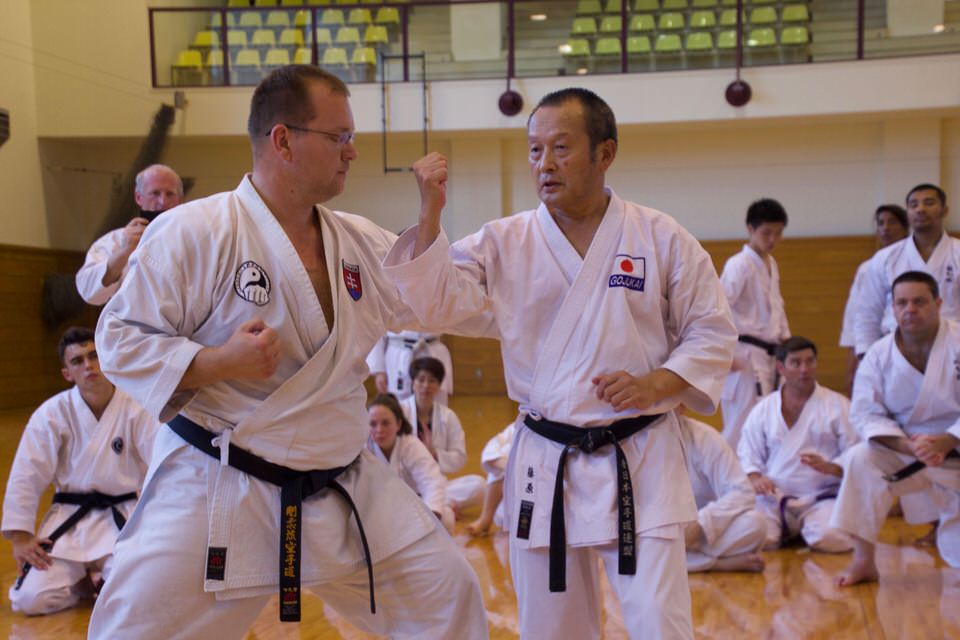 Japan 2017 - Seitou Ryu Karate