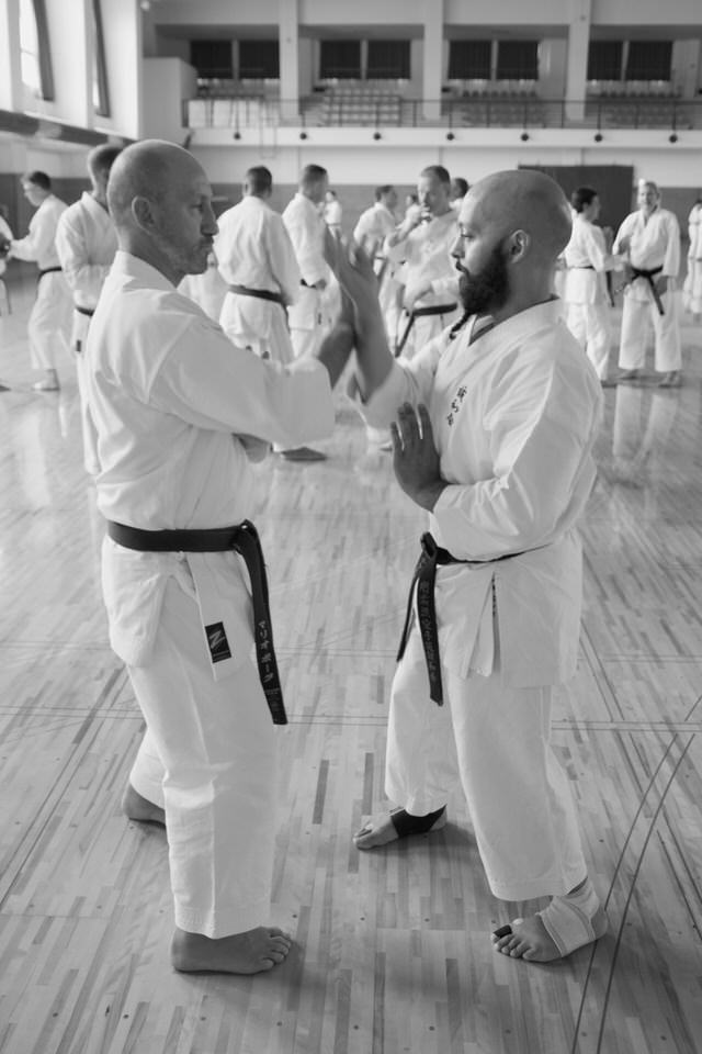 Japan 2017 - Seitou Ryu Karate