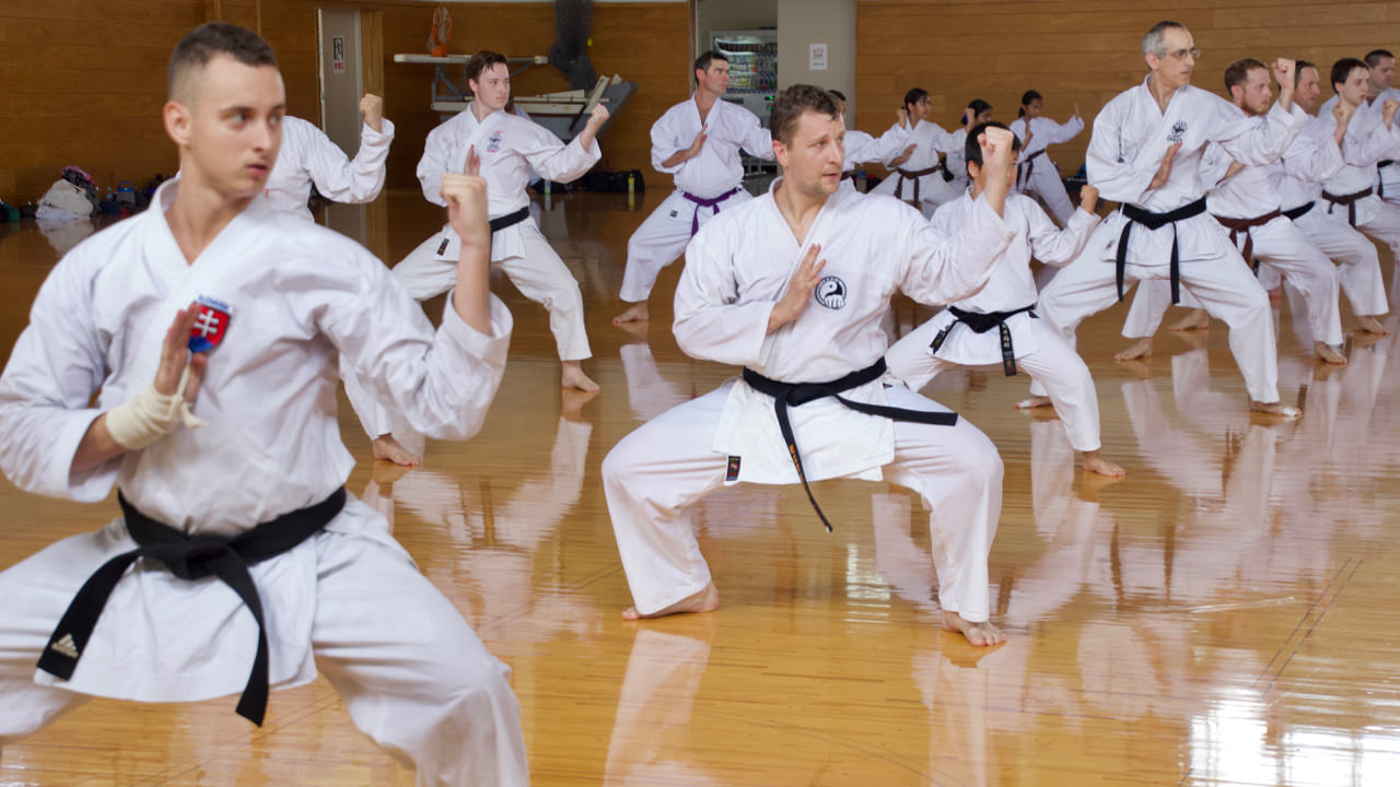Competition and Karate – Seitou Ryu Karate